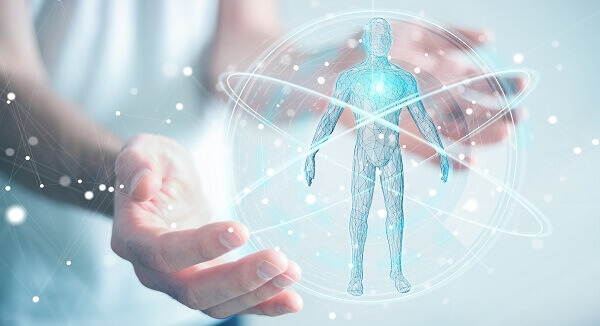 Contact Us - Sydney Sports and Exercise Physiology